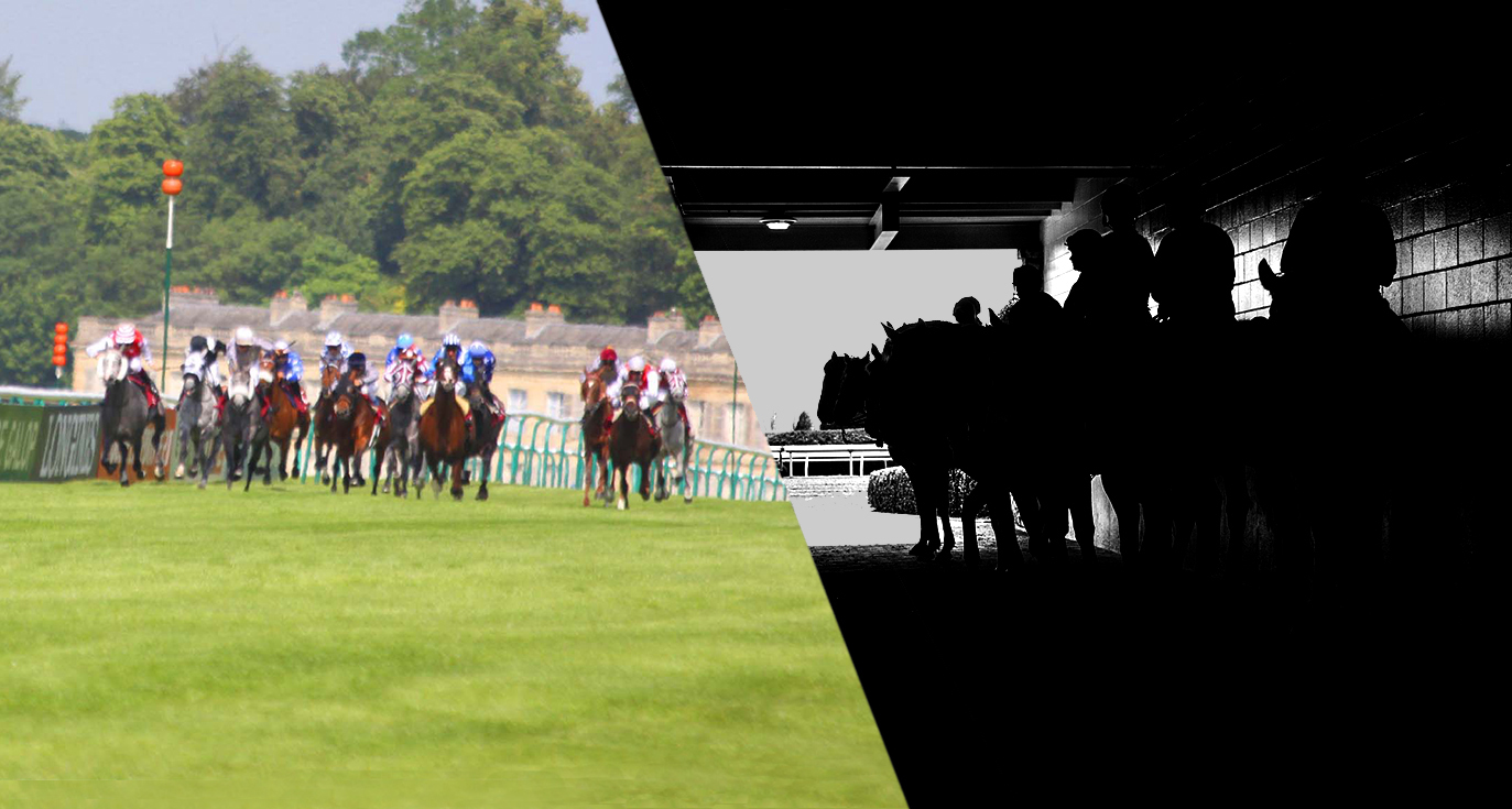 Courses Hippiques - Factory SE - Le meilleur du cheval ...